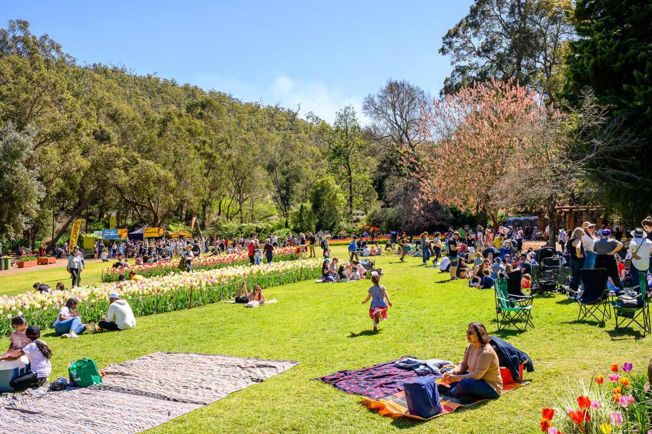 What's On at Araluen | Araluen Botanic Park