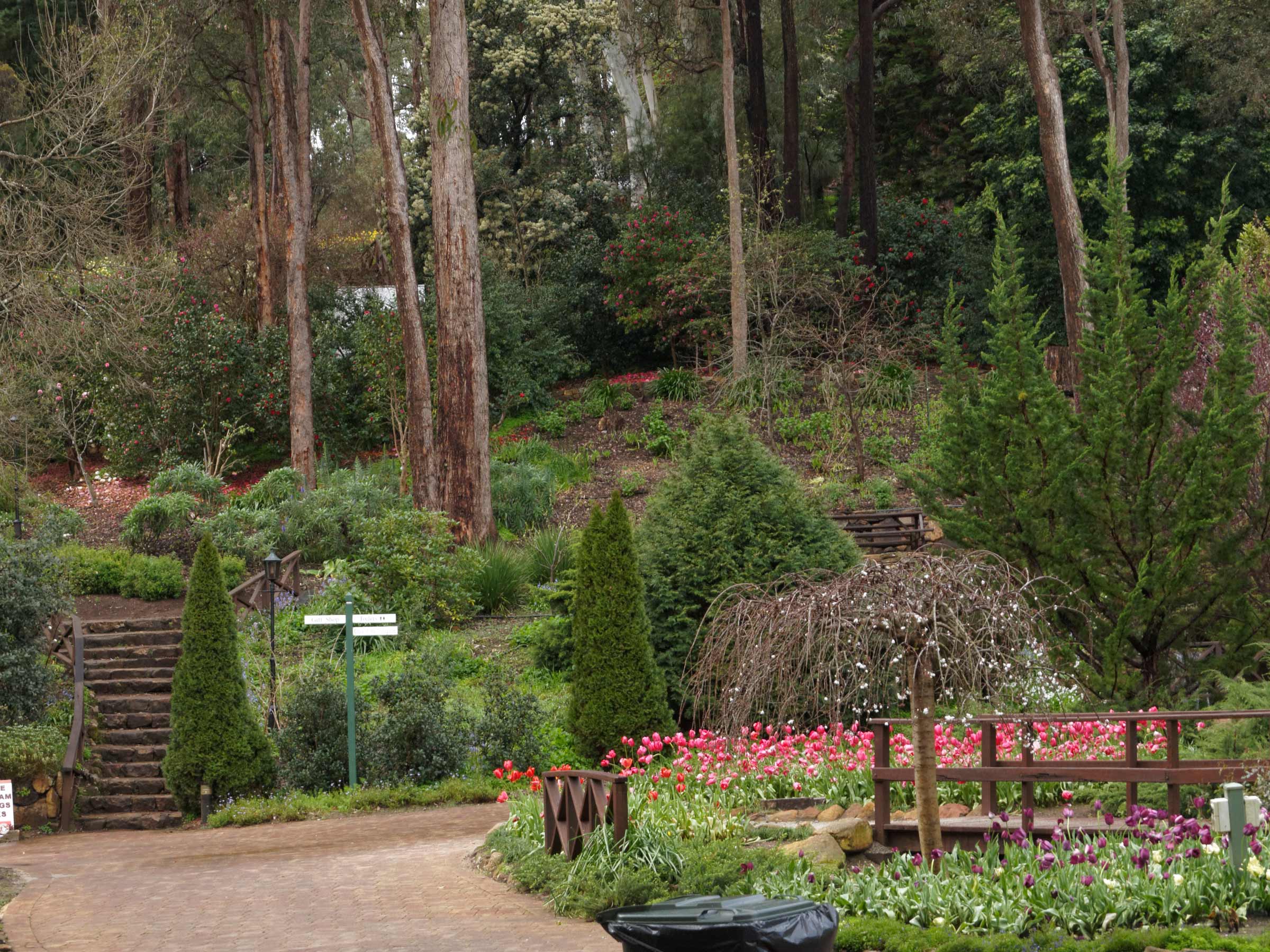 Make a Donation | Araluen Botanic Park